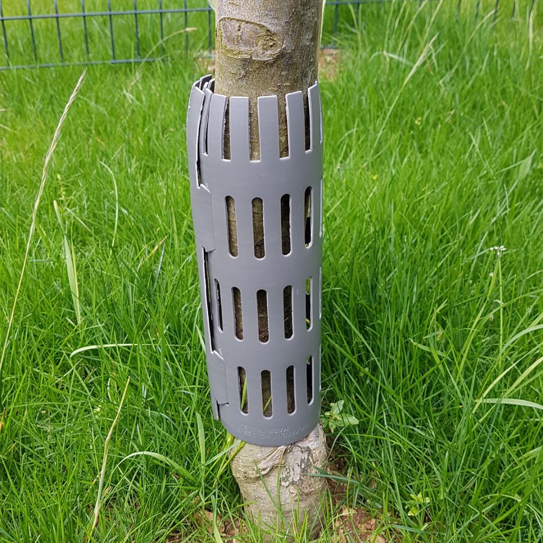 Planter votre arbre - Un arbre pour mon quartier
